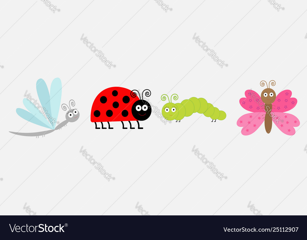 Insect icon set line ladybug dragonfly butterfly Vector Image
