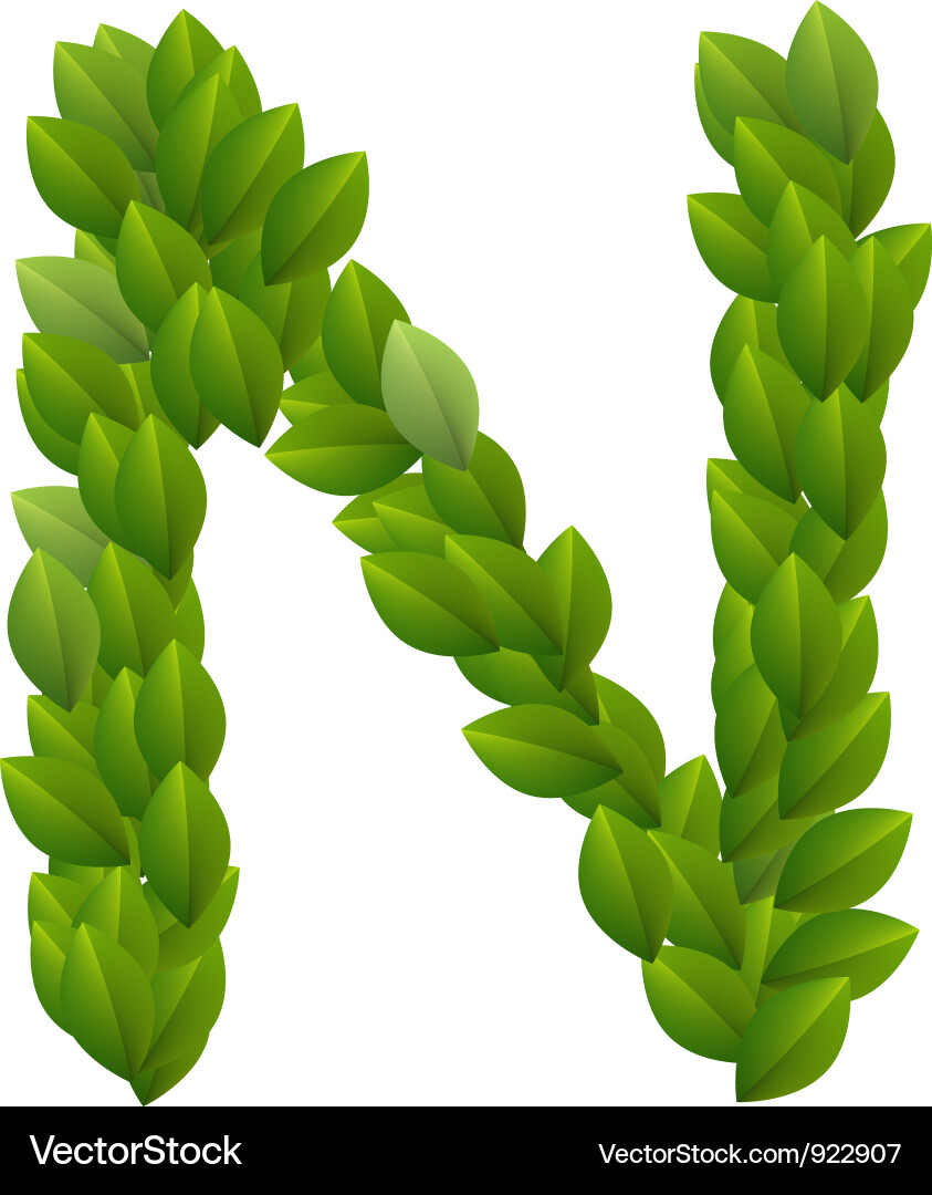Letter n green leaves alphabet Royalty Free Vector Image