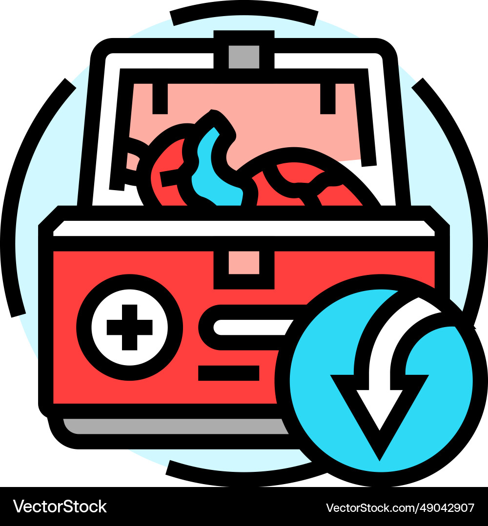 Organ transplant color icon Royalty Free Vector Image