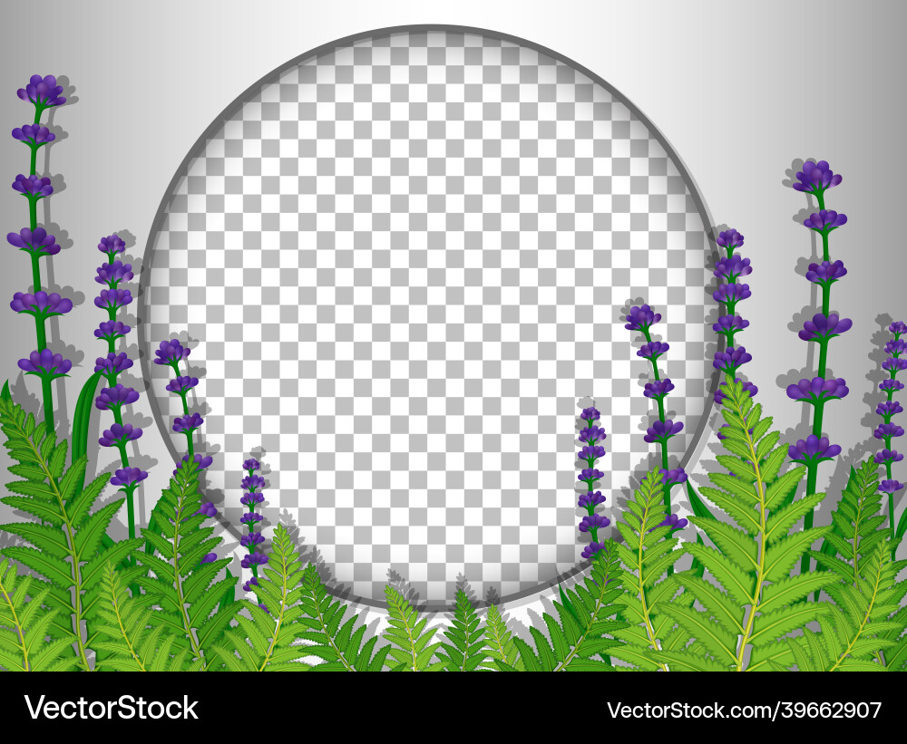 Round frame transparent with purple flowers Vector Image