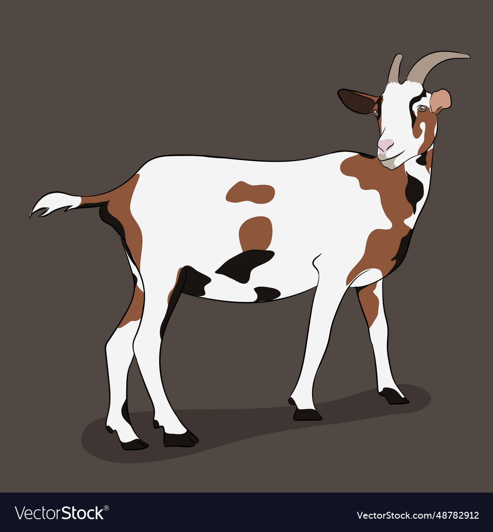 Image of goat animal Royalty Free Vector Image