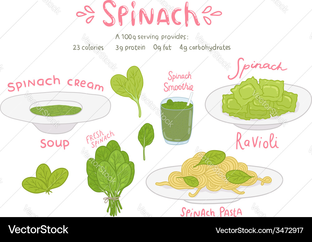 Cartoon hand drawn spinach food set Royalty Free Vector