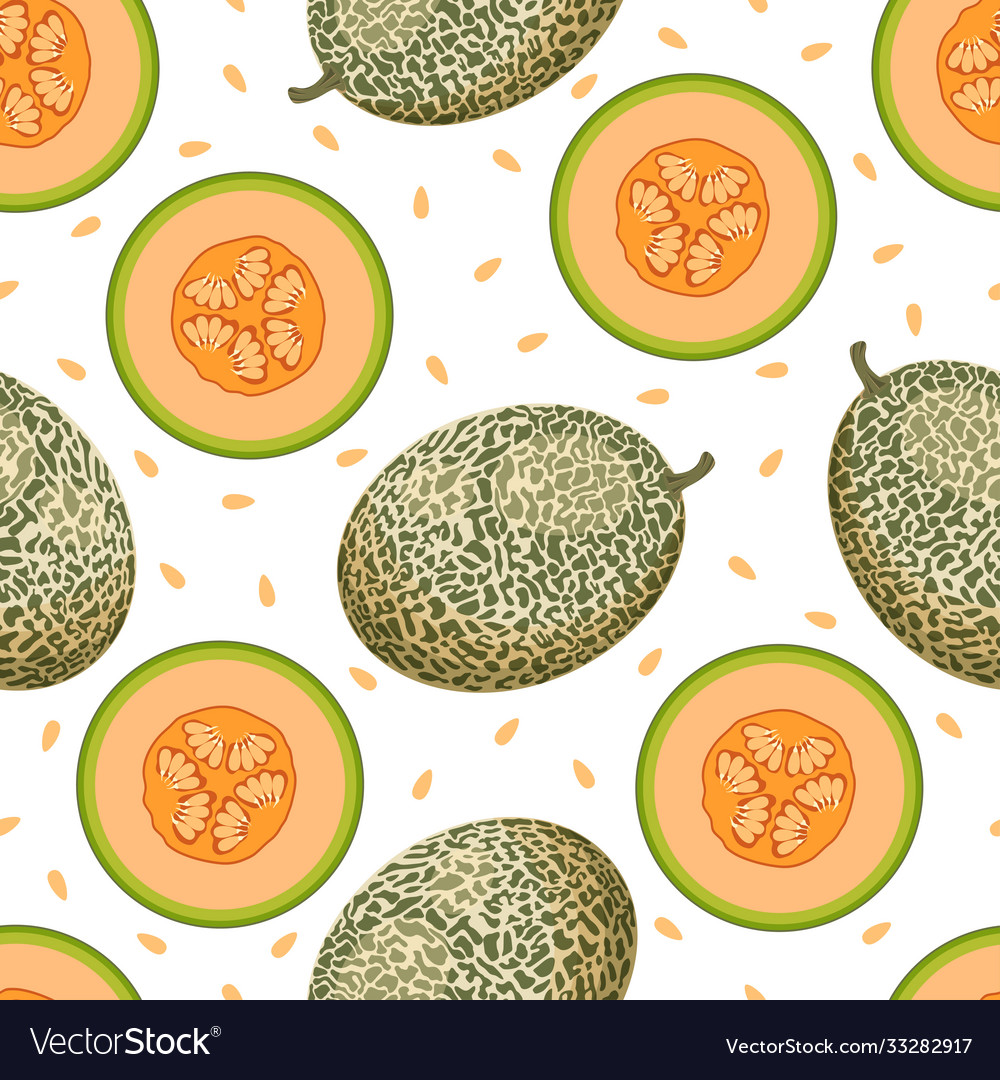 Melon seamless pattern isolated on white Vector Image