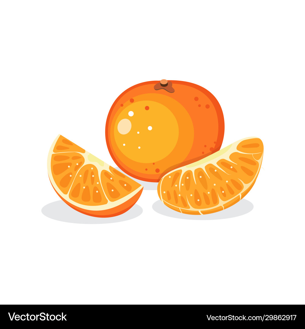 Orange fresh fruit in piece and sliced Royalty Free Vector