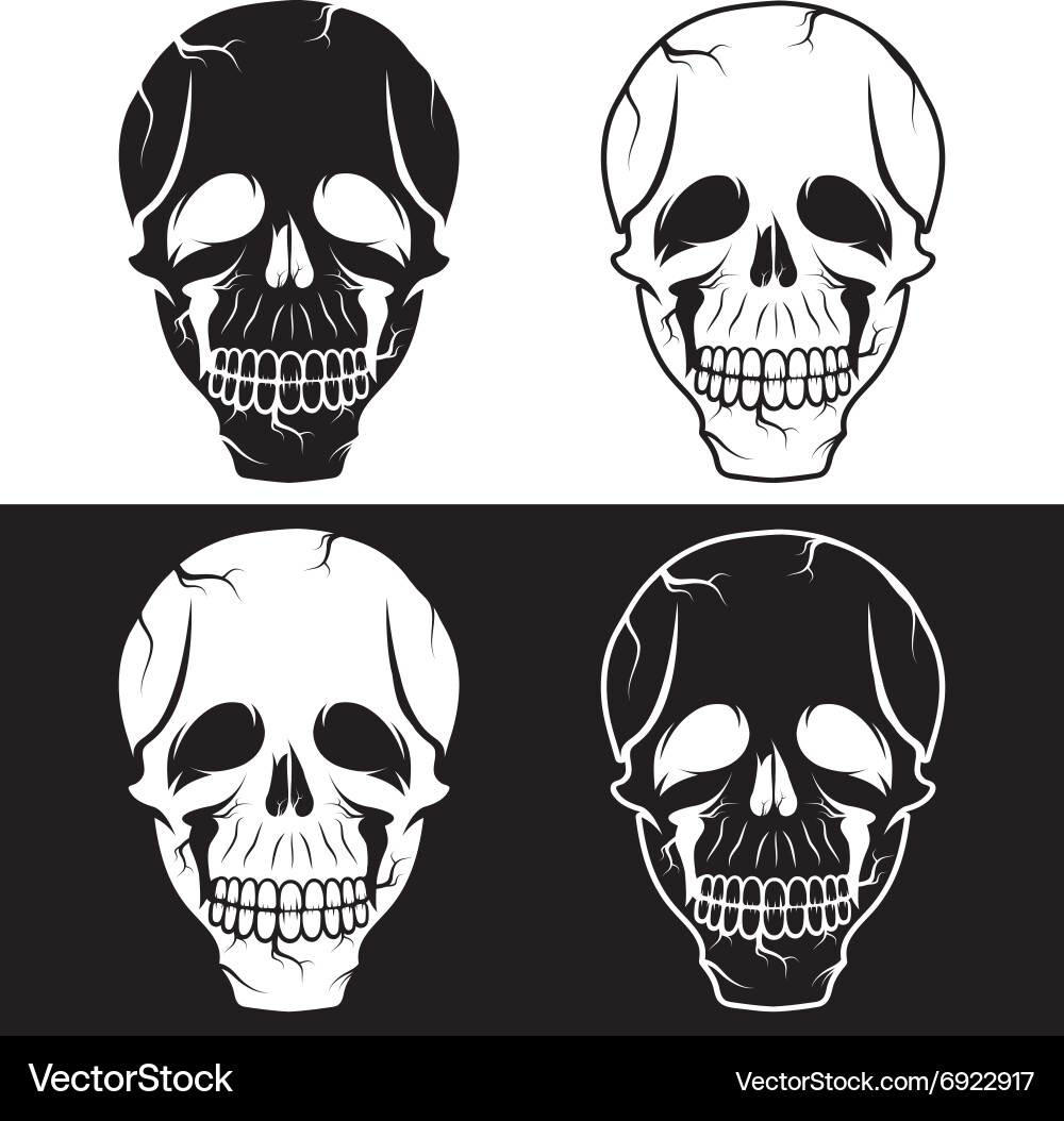 Set of skulls design template Royalty Free Vector Image
