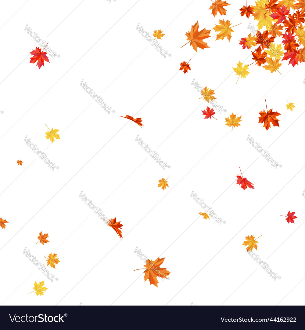 Autumn maple frame Royalty Free Vector Image - VectorStock