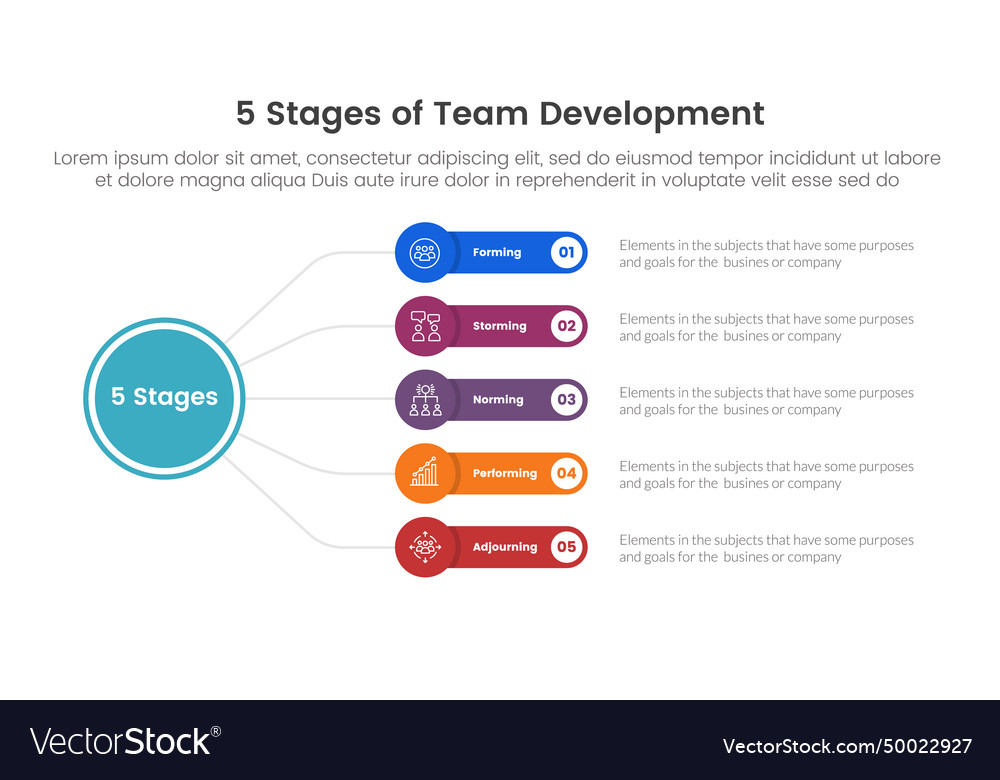 5 stages team development model framework Vector Image