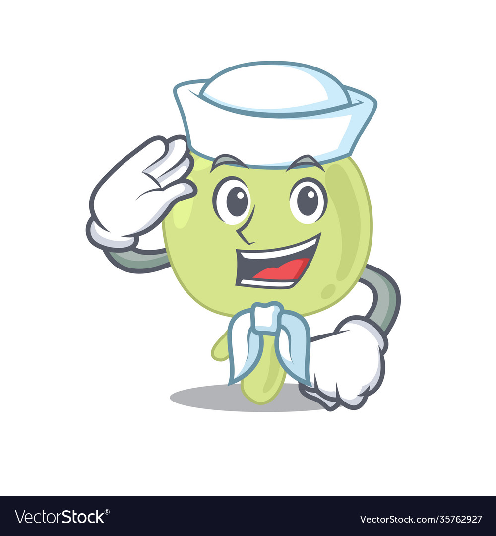Smiley sailor cartoon character lymph node Vector Image Smiley sailor cartoon character lymph node Vector Image