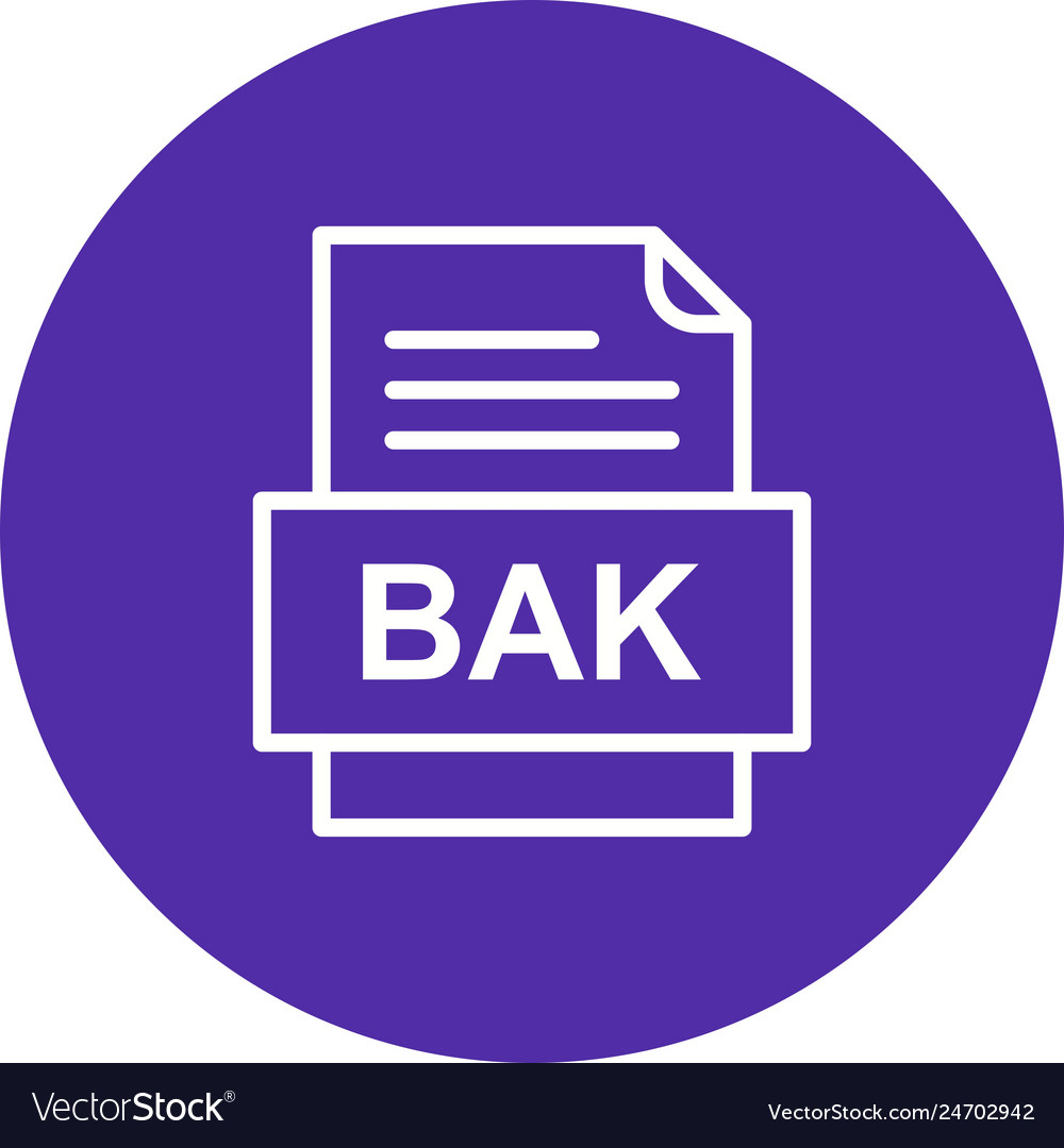 Bak file document icon Royalty Free Vector Image