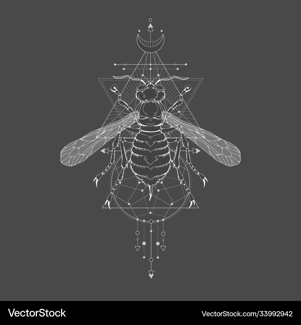 Wasp and sacred geometric symbol Royalty Free Vector Image