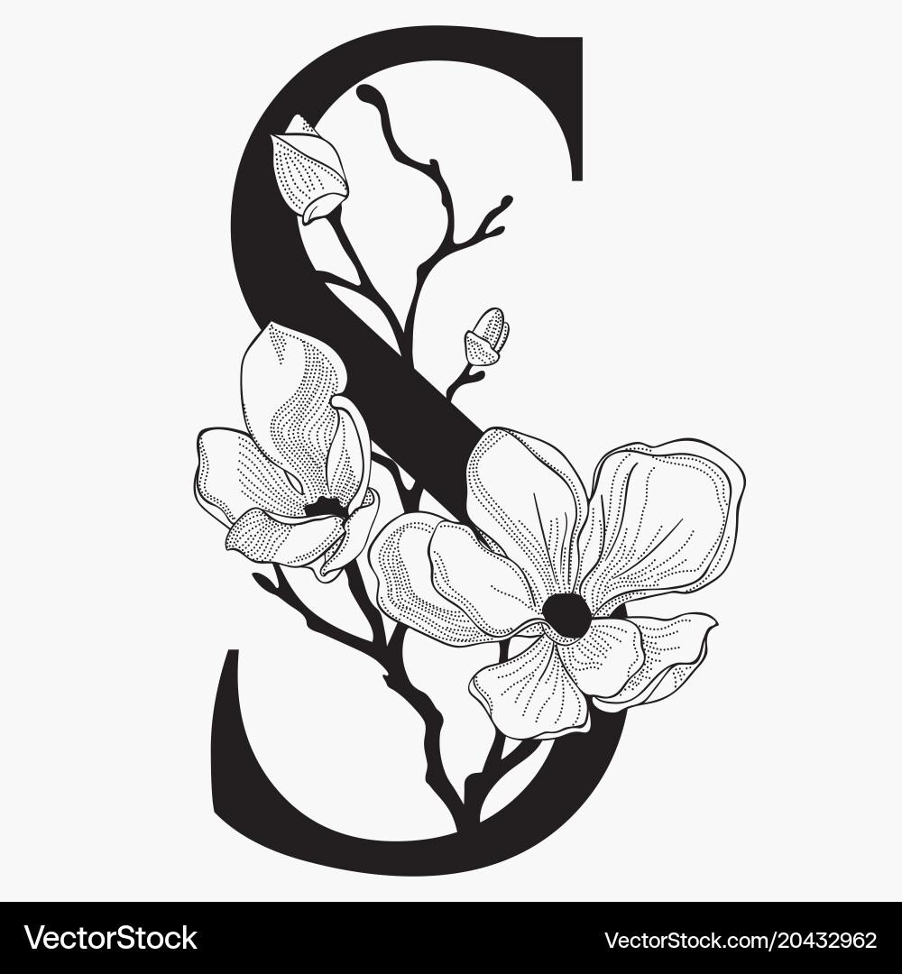 Hand drawn floral uppercase s monogram and Vector Image