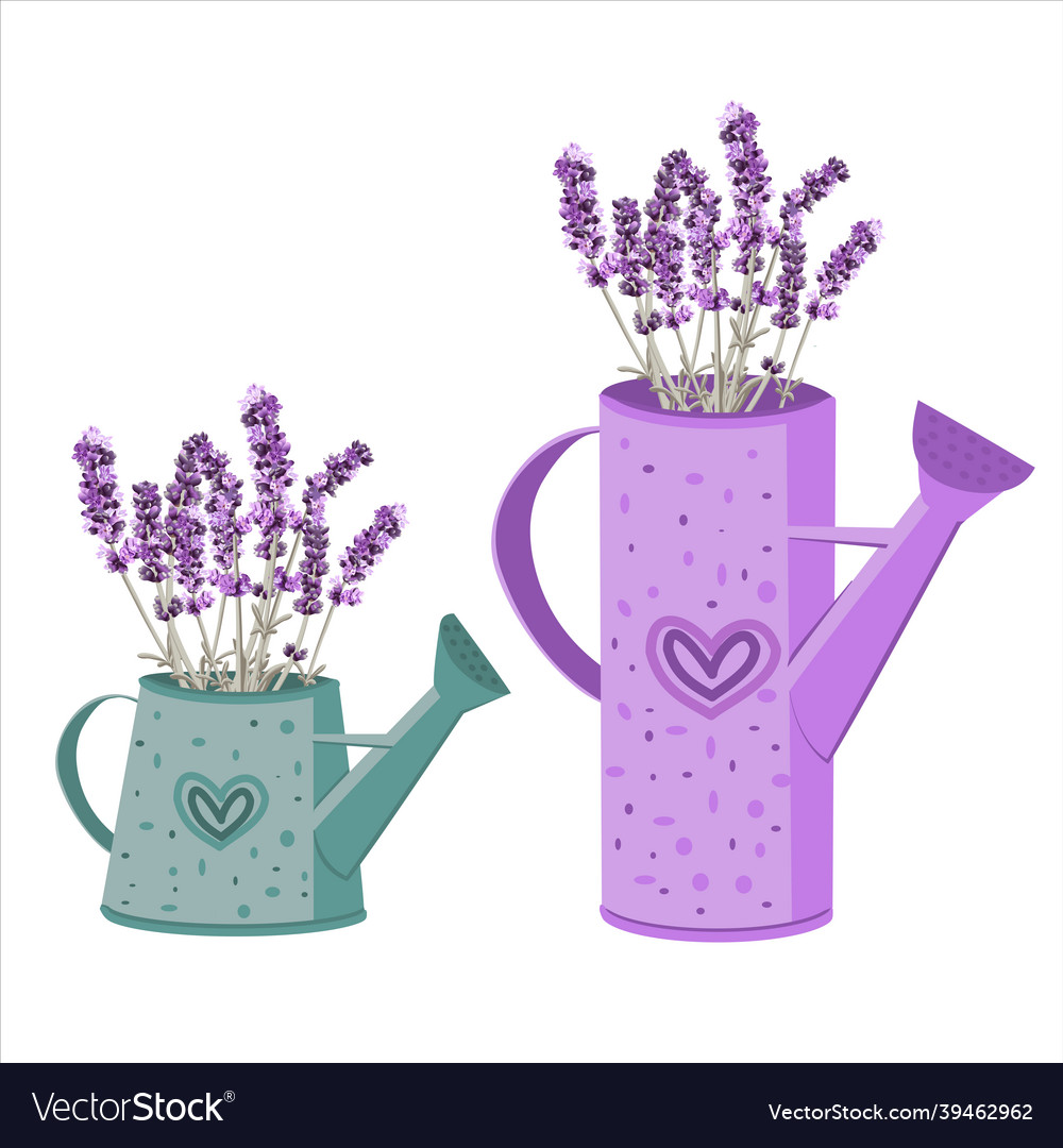 Image of two garden watering cans with bouquets Vector Image