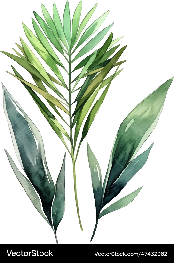 Modern exotic leave watercolor great design Vector Image