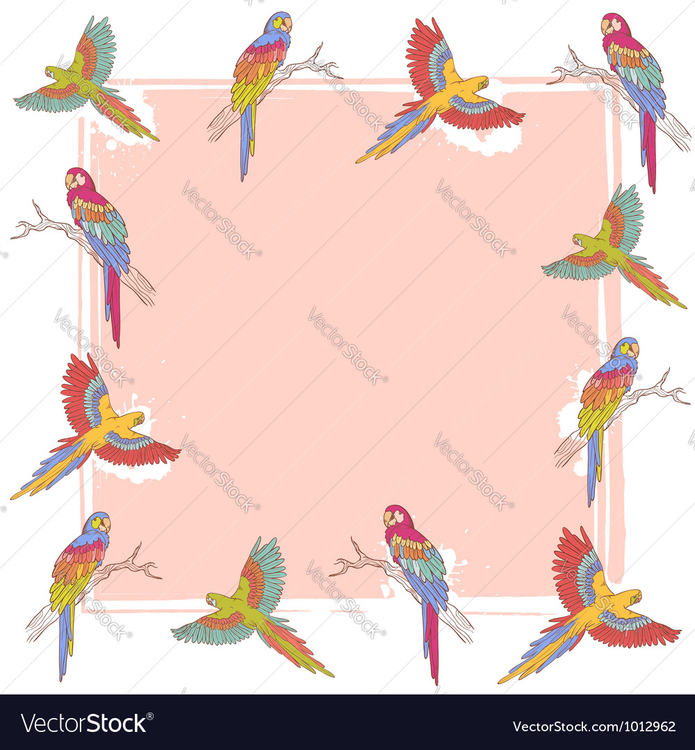 Parrot frame Royalty Free Vector Image - VectorStock
