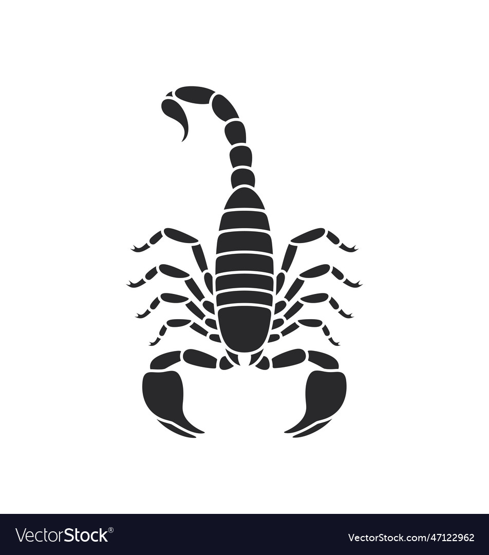 Scorpio Royalty Free Vector Image - VectorStock