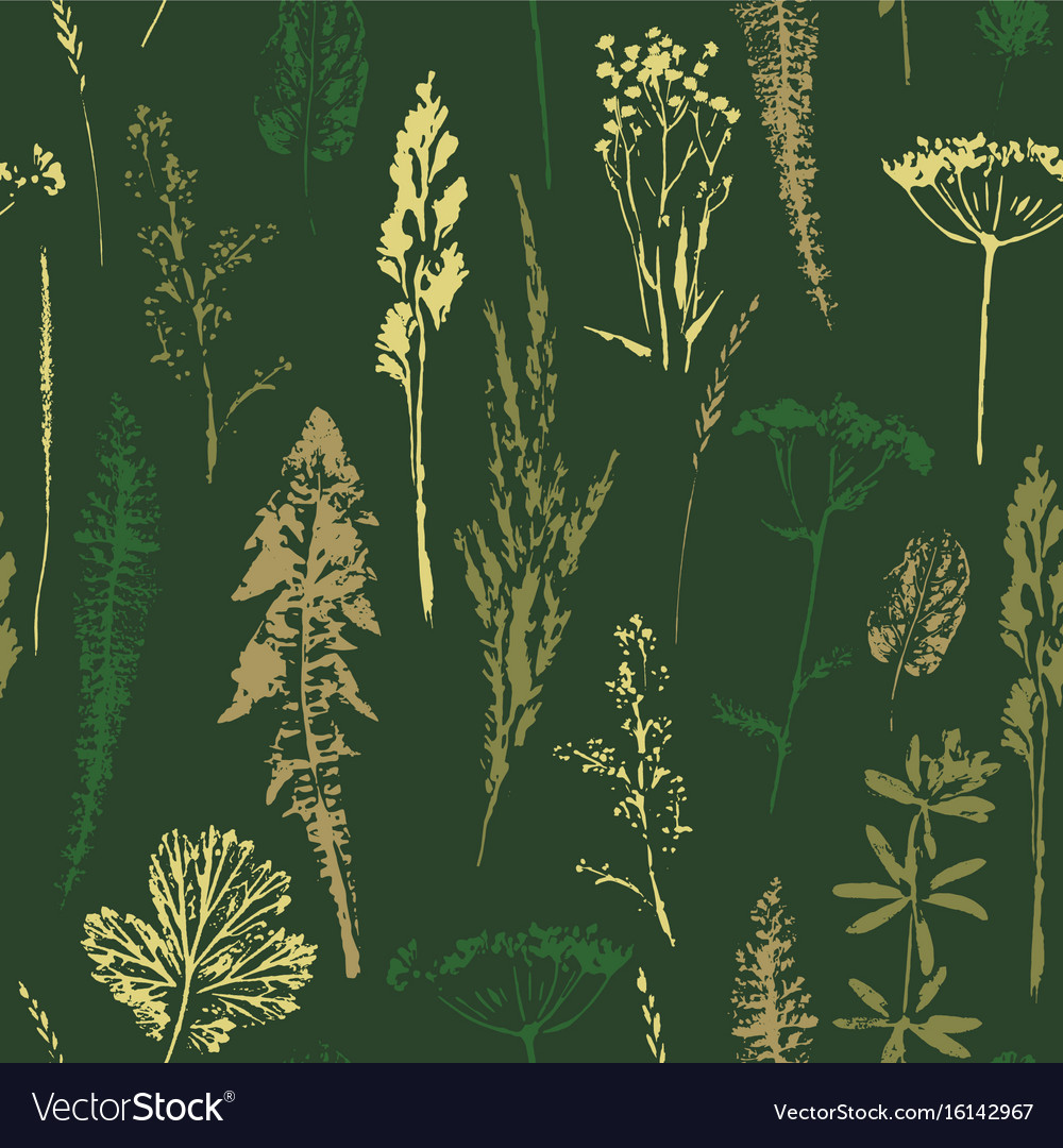 Abstract botanical seamless pattern herbal Vector Image