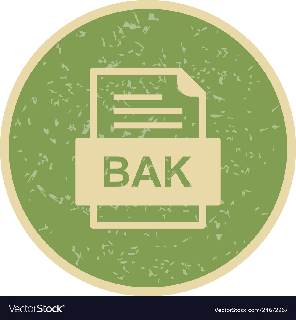 Bak file document icon Royalty Free Vector Image