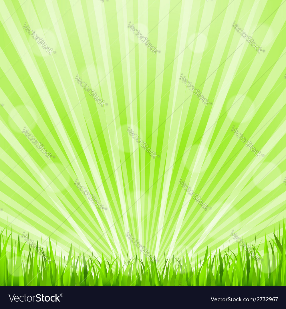 Green background Royalty Free Vector Image - VectorStock