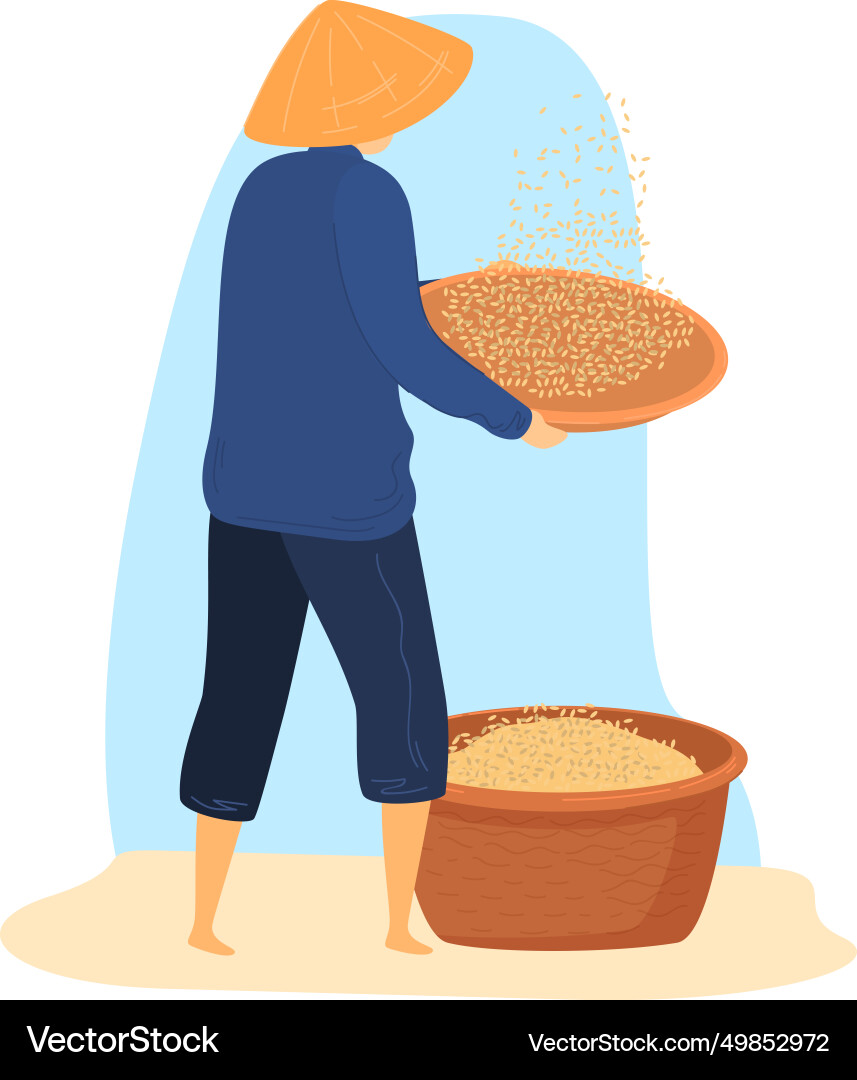 Asian farmer winnowing rice traditional Royalty Free Vector