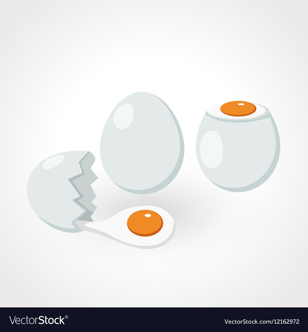 Egg Royalty Free Vector Image - VectorStock