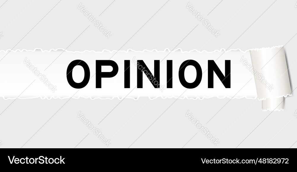 Ripped gray paper background that have word Vector Image