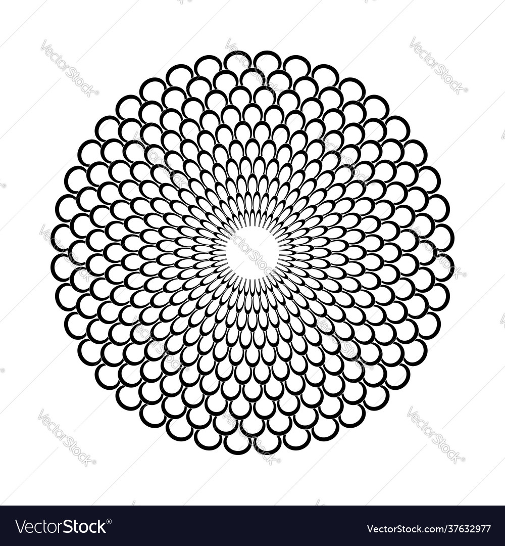 Circle pattern Royalty Free Vector Image - VectorStock