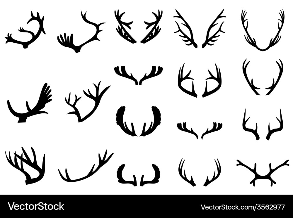Collection of deer horns Royalty Free Vector Image