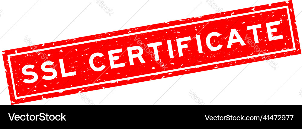 Grunge red ssl certified word square rubber seal Vector Image