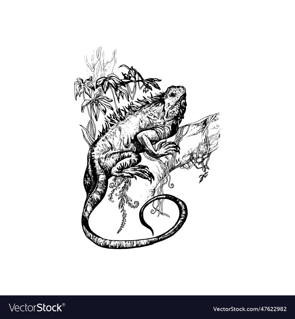 Handdrawn lizard drawing Royalty Free Vector Image