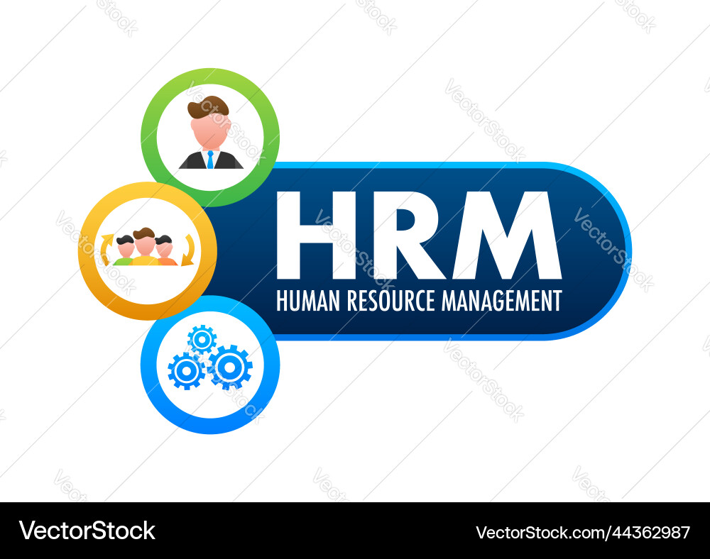 Hrm human resource management icon label badge Vector Image