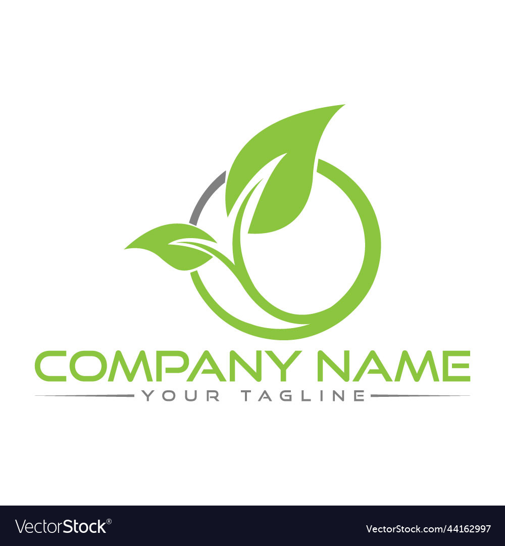 Creative leaf logo design Royalty Free Vector Image