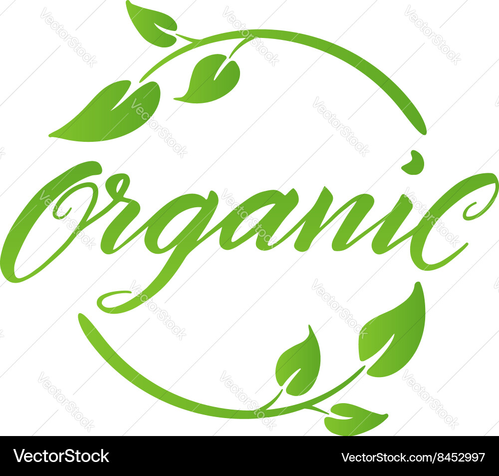 Organic brush lettering label logo template Vector Image