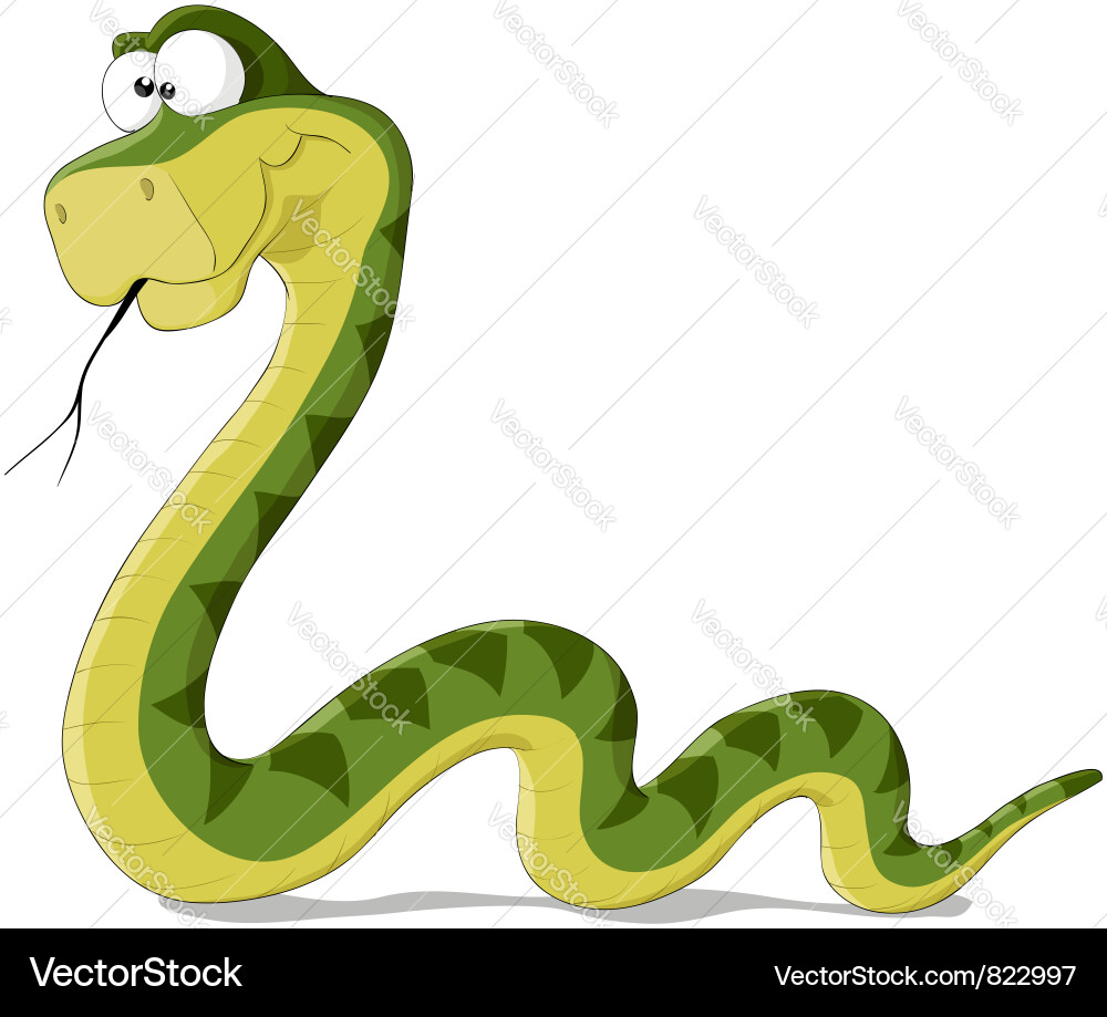 Snakes Royalty Free Vector Image - VectorStock