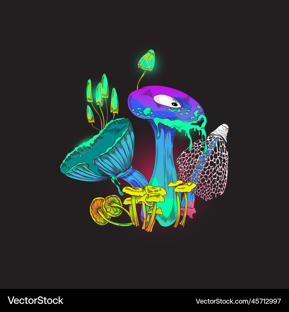 Toadstool dangerous mushroom plants and fungus Vector Image