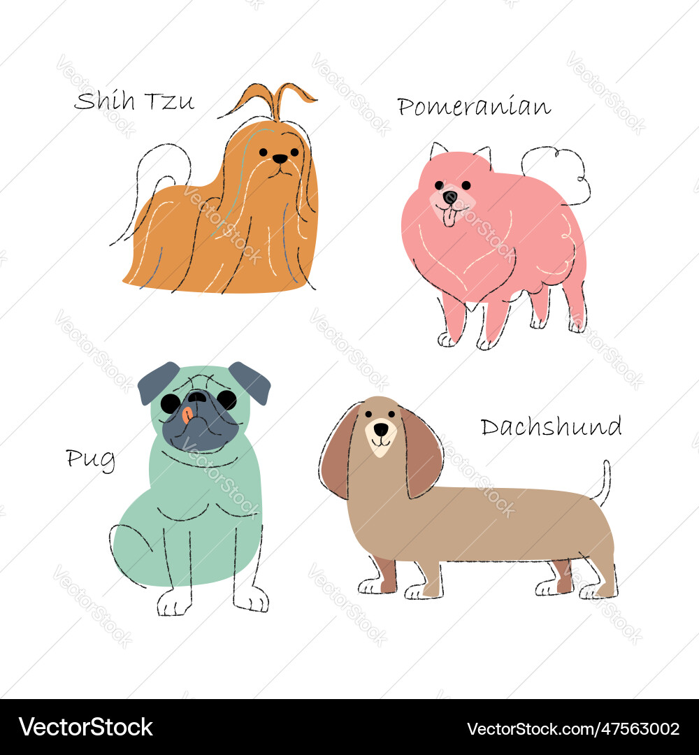 Dog breeds set 2 flat shape and pencil line Vector Image