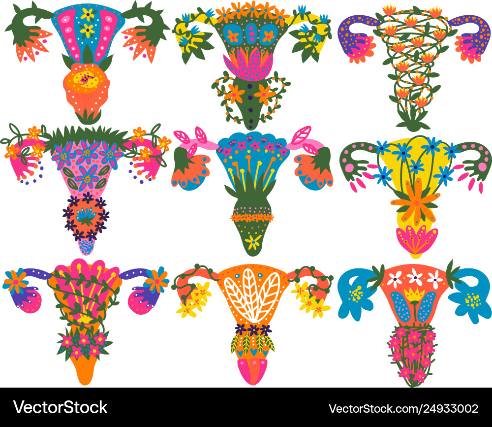 Healthy female reproductive system with bright Vector Image