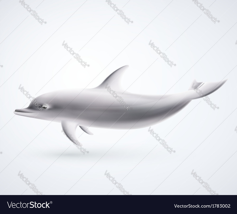 Isolated dolphin Royalty Free Vector Image - VectorStock