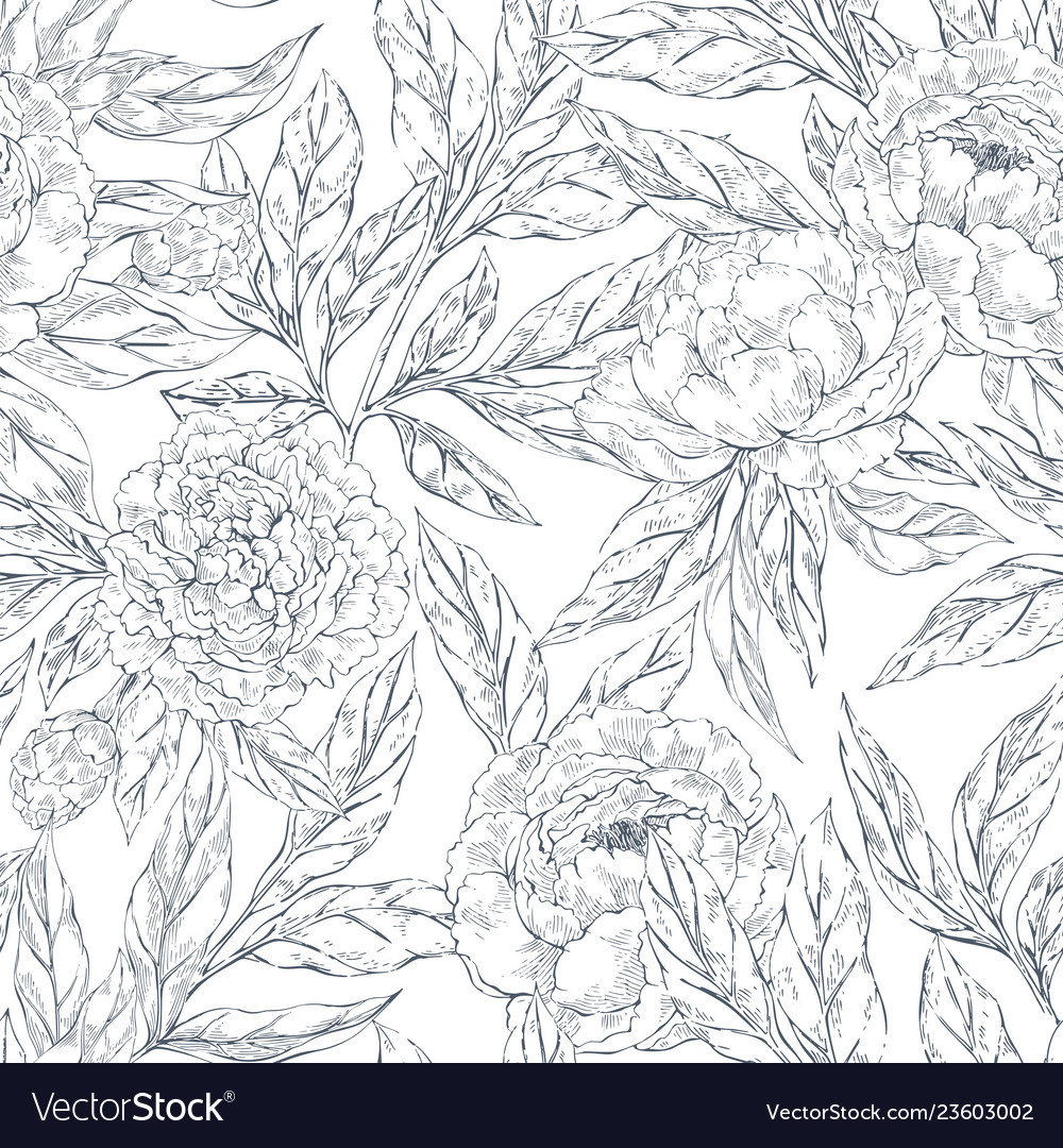 Seamless peony pattern Royalty Free Vector Image