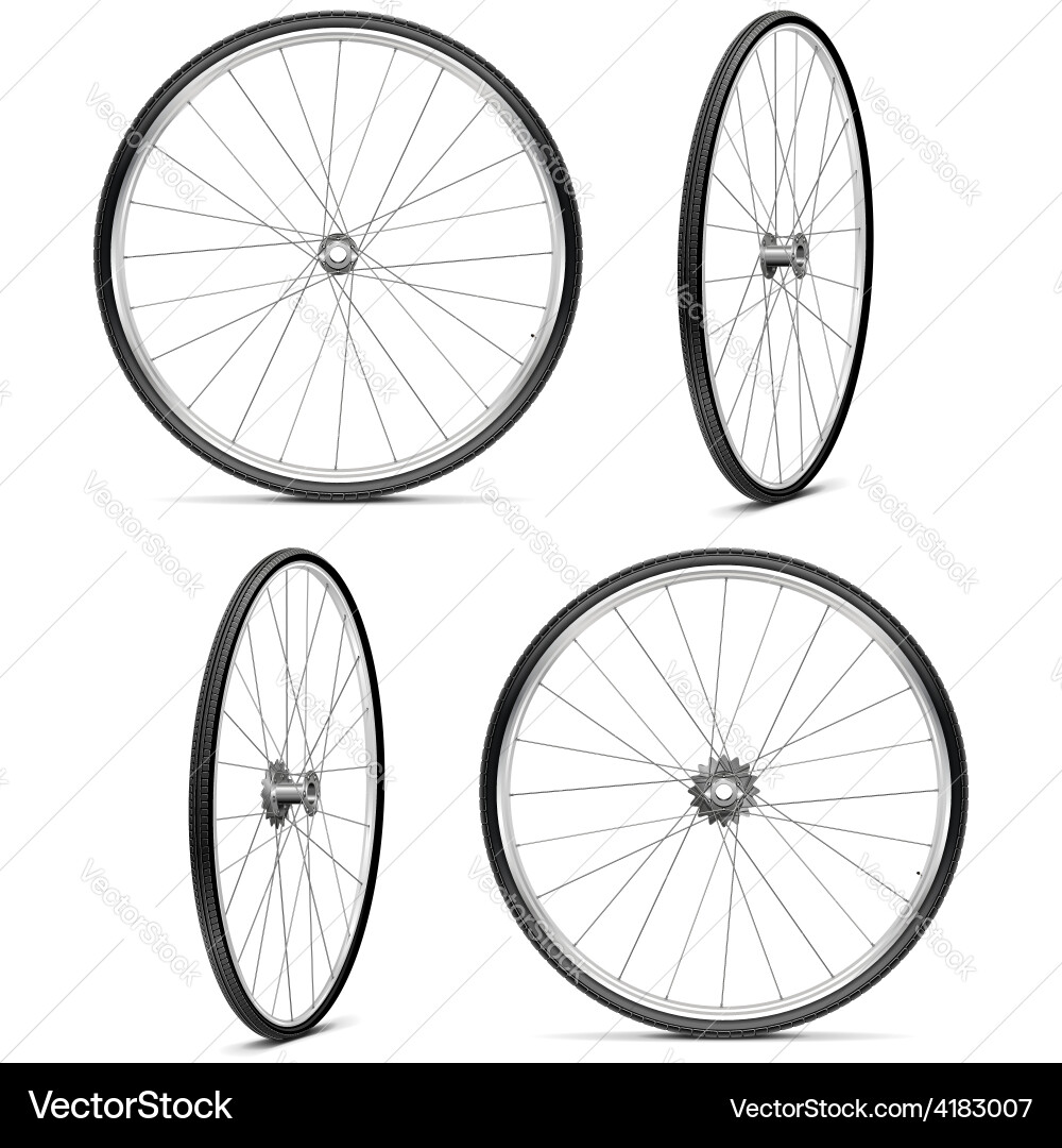 Bicycle wheels Royalty Free Vector Image - VectorStock