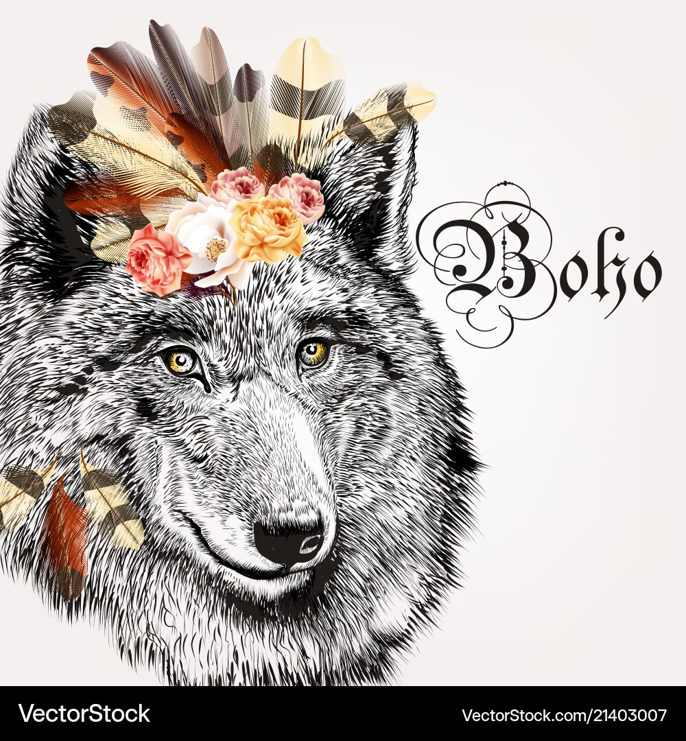 Hand drawn portrait of boho wolf Royalty Free Vector Image