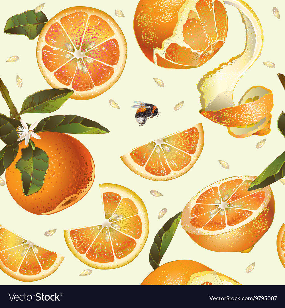Orange seamless pattern Royalty Free Vector Image