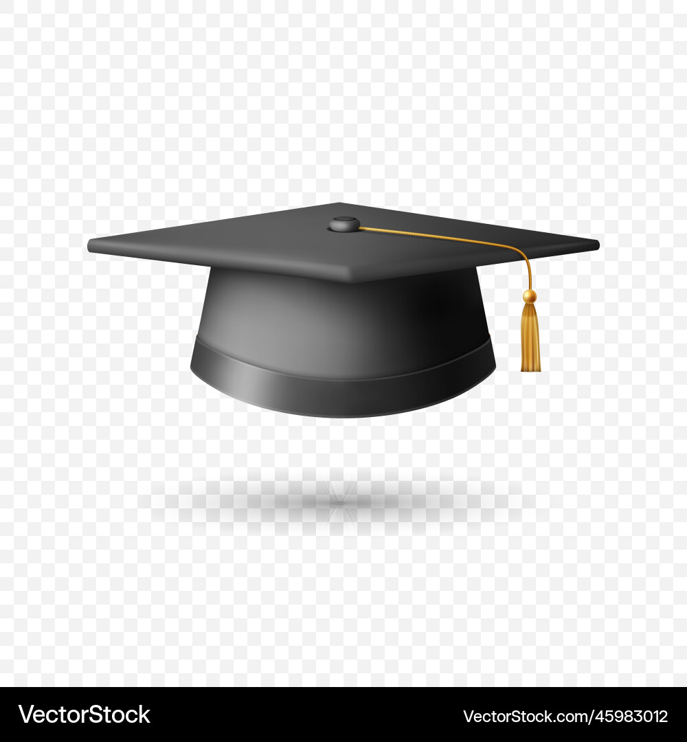 3d realistic graduate college high school Vector Image