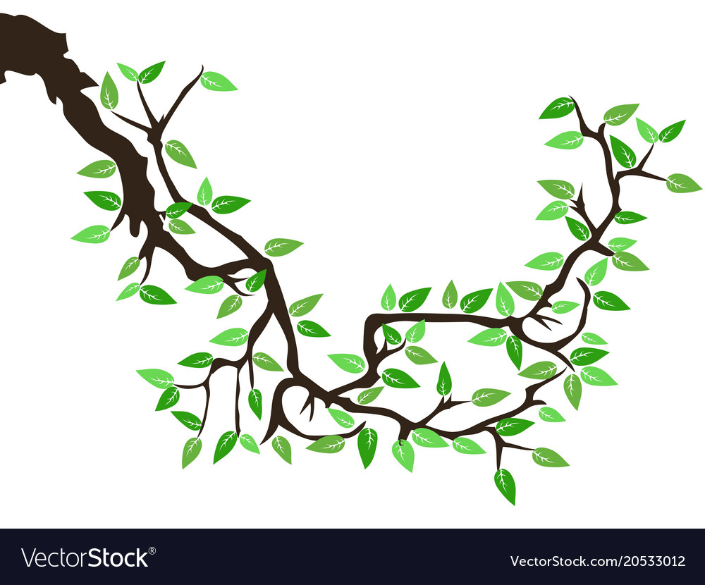 Green spring tree Royalty Free Vector Image - VectorStock