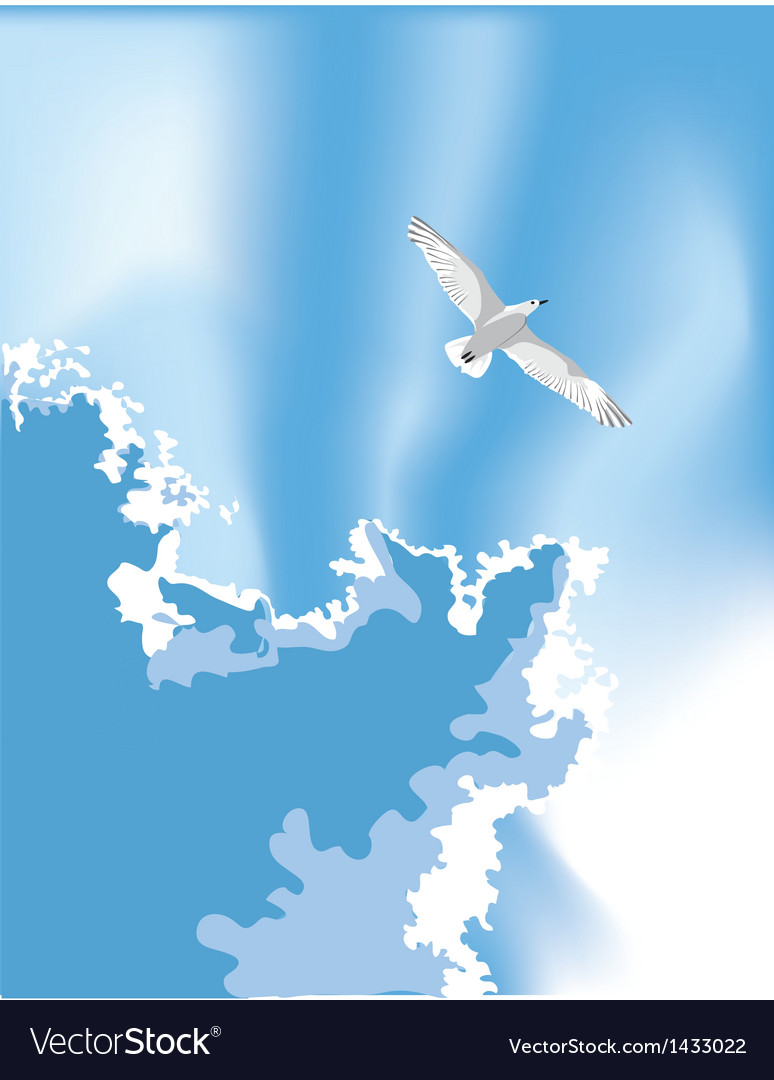 Bird in the summer sky Royalty Free Vector Image