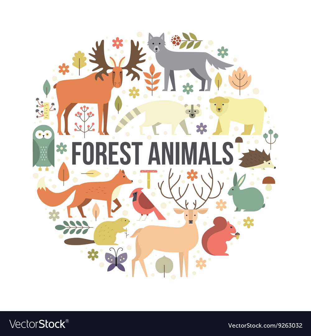 Forest Animals Royalty Free Vector Image - VectorStock
