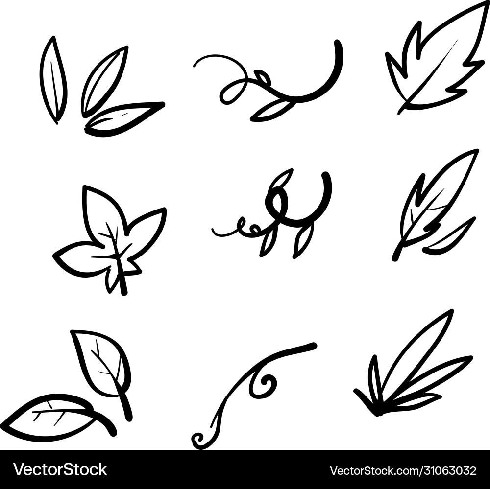 Hand drawn branch and leaves set with doodle Vector Image
