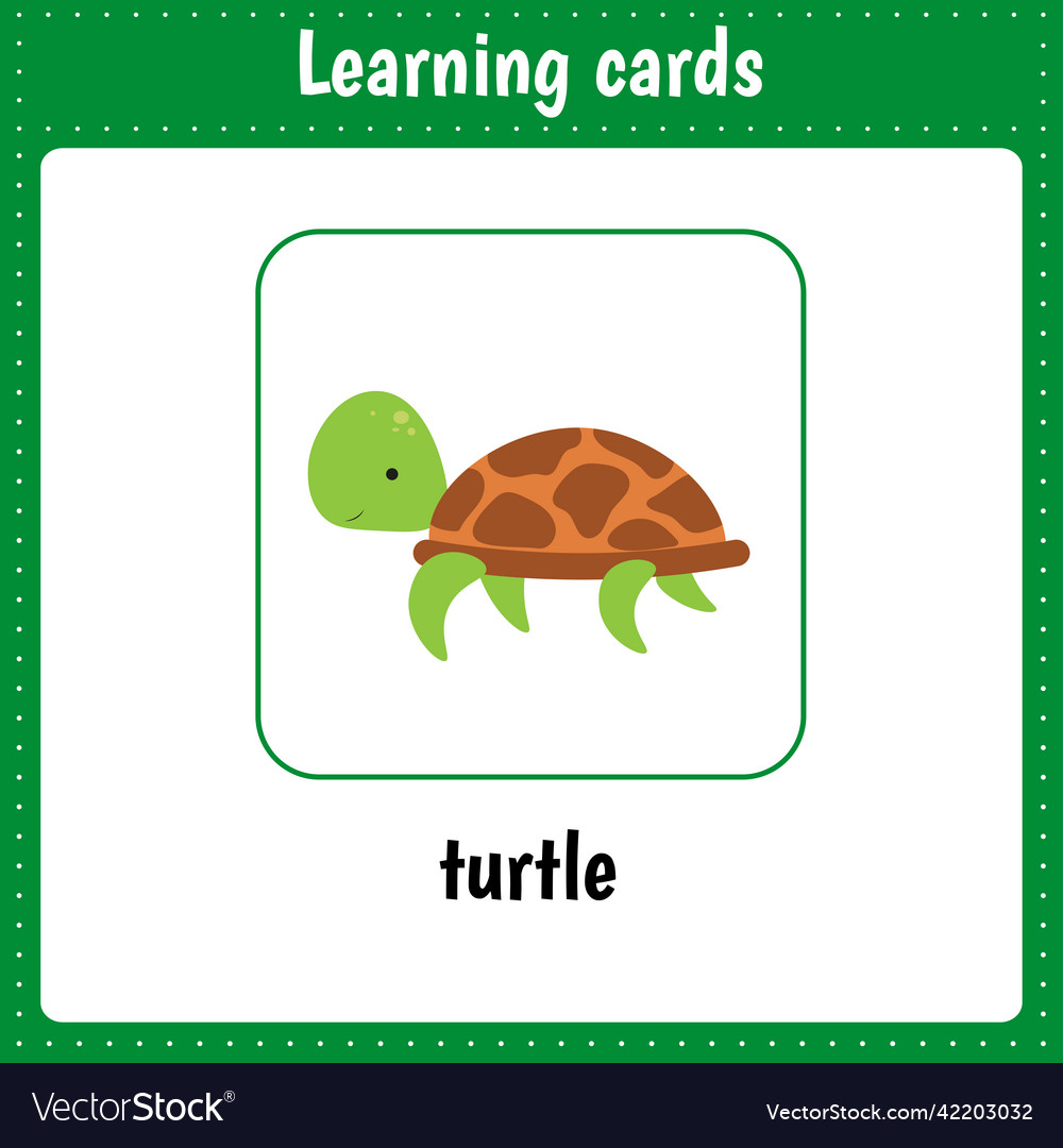 Turtle cards Royalty Free Vector Image - VectorStock