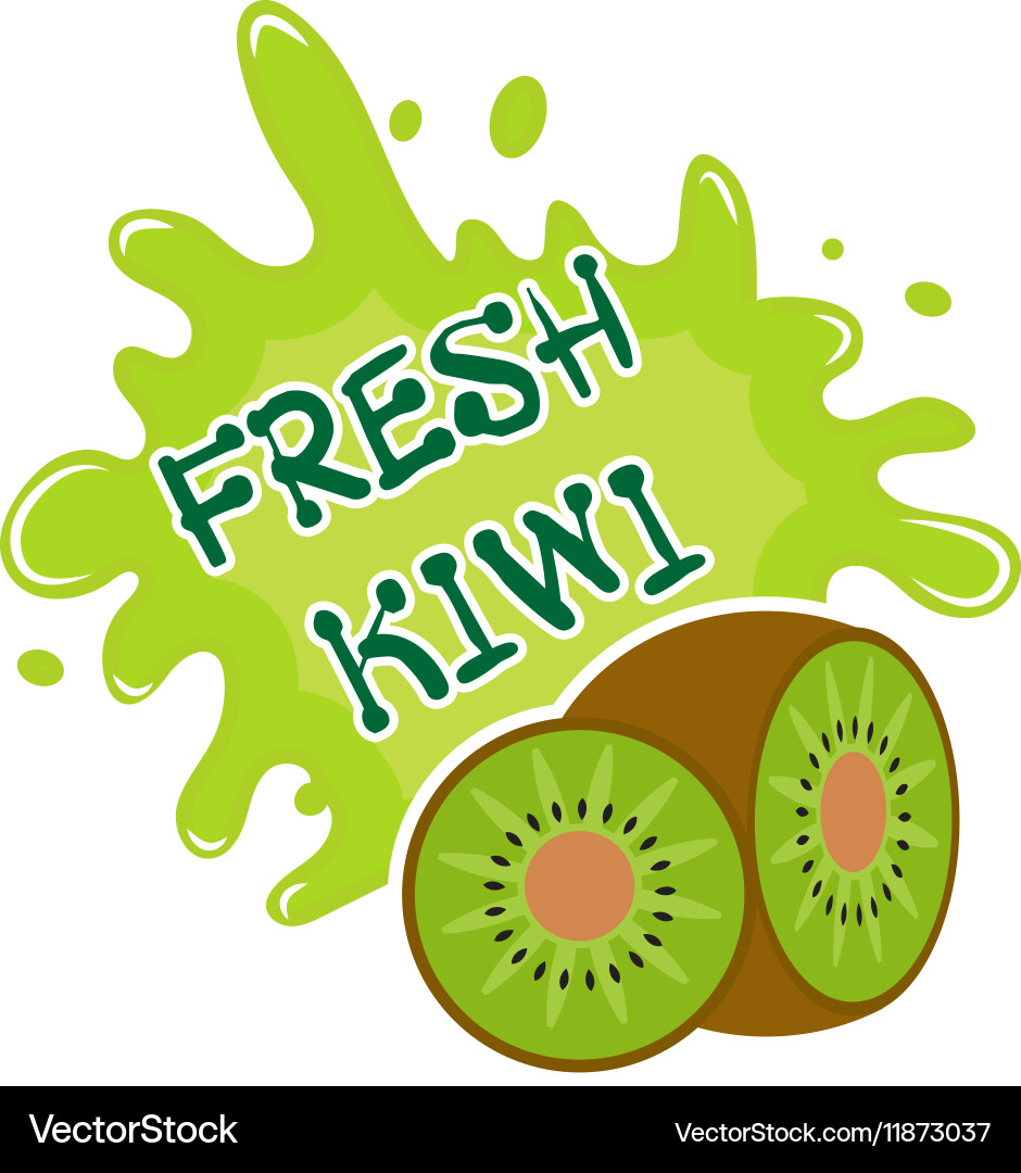 Fresh kiwi splash icon logo sticker fruit Vector Image