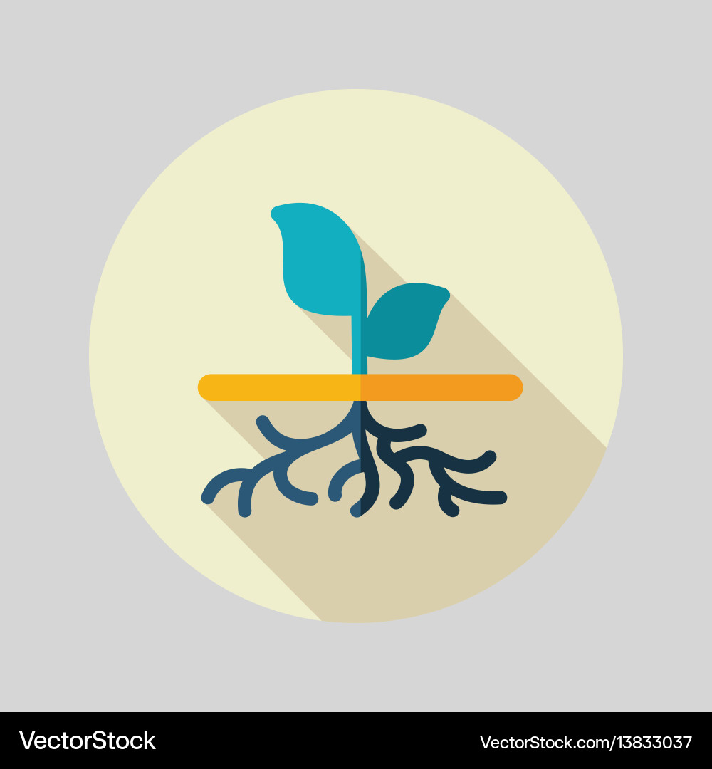 Plant with roots flat icon garden Royalty Free Vector Image