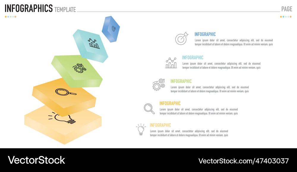 Pyramid isometric infographic for business Vector Image